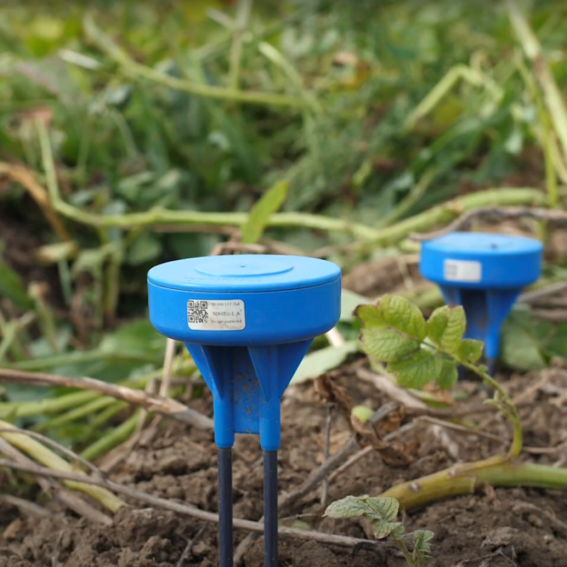 Soil Sensors for Agriculture | Sensoterra