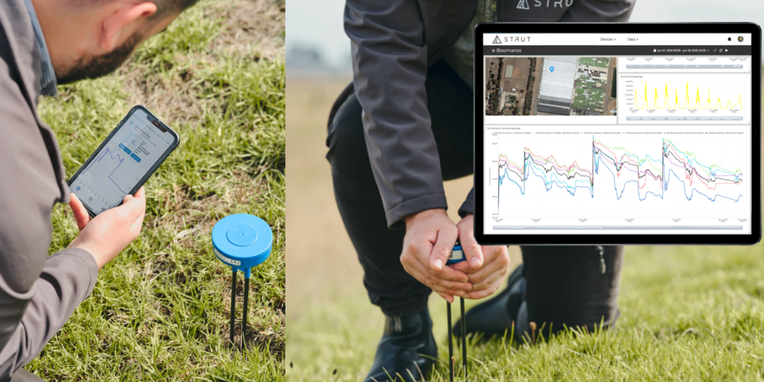 Strut Systems - Sensoterra