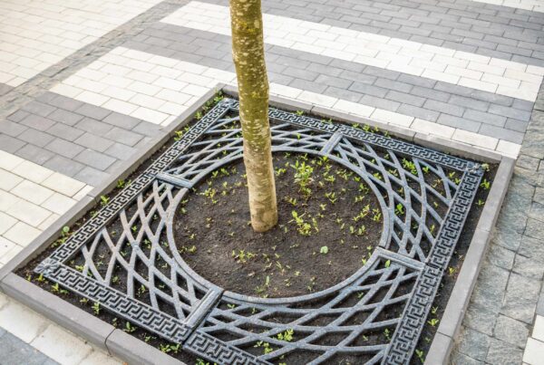 Tree pits - Sensoterra